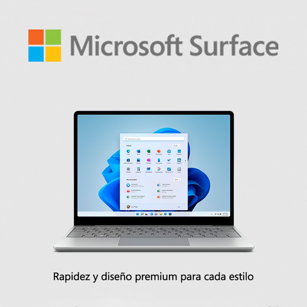 MICROSOFT 2023 | Sears